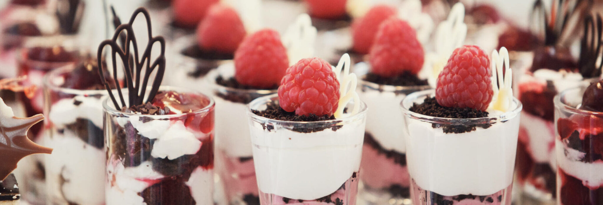 Ladybug Awards Dinner | St. Augustine Sailing